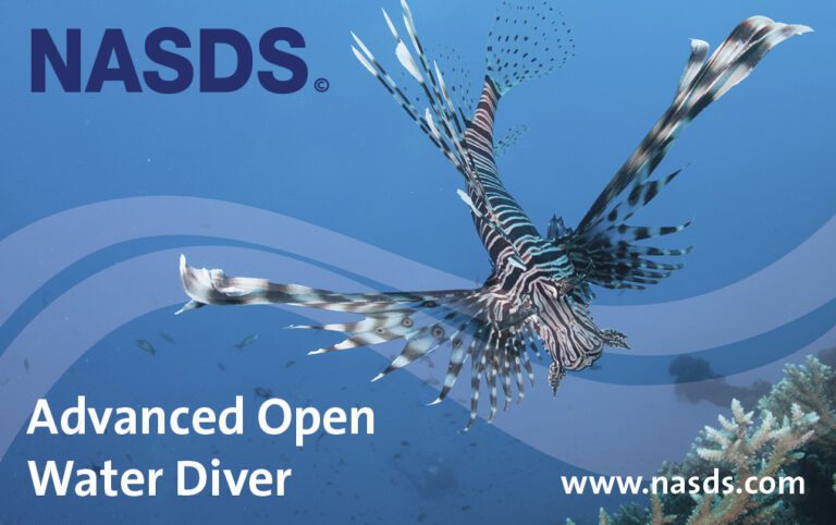 Dive Training - NASDS